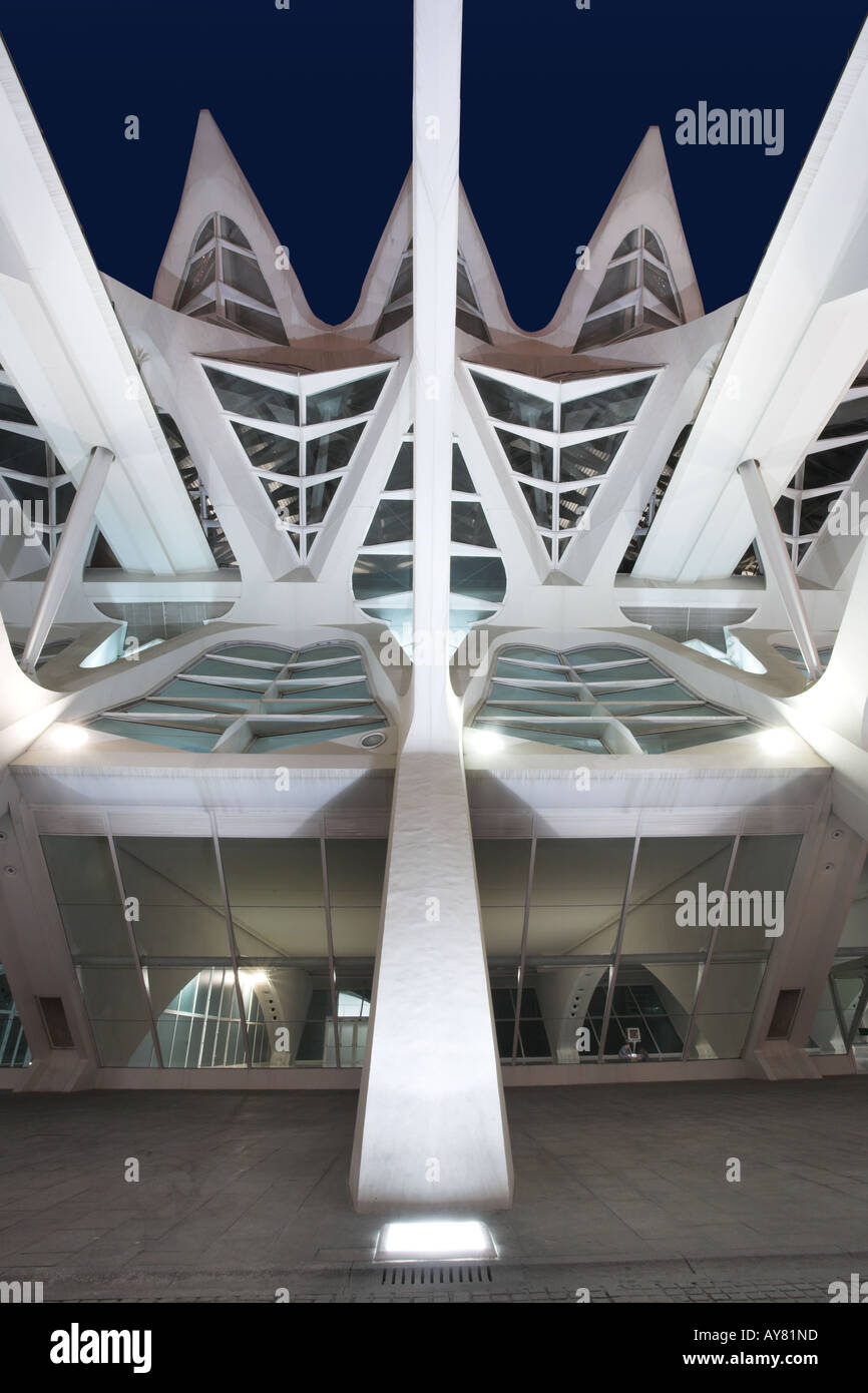 Science Museum, City of Arts and Sciences, Valencia, 2003. Science ...