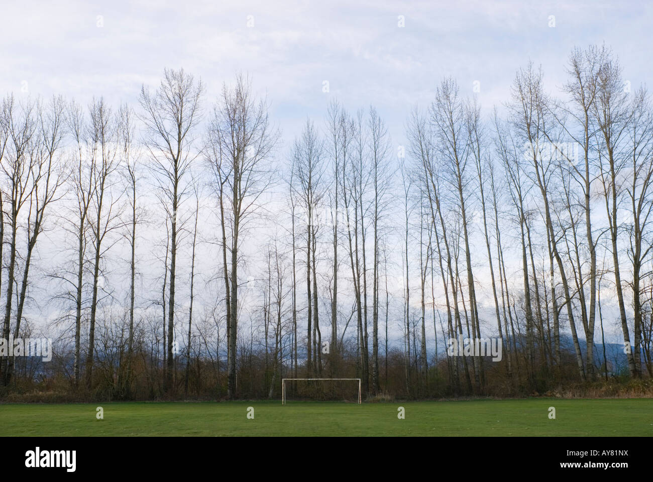Soccer field and goal with tall bare trees in early Spring Stock Photo ...