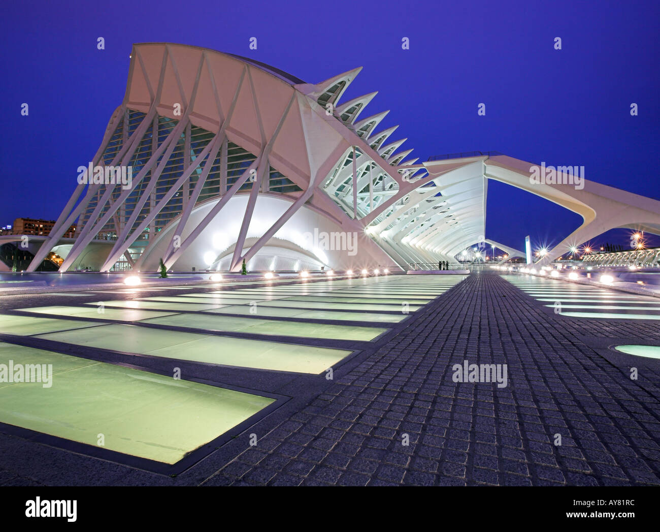 Science Museum City of Arts and Sciences Valencia Architect Santiago ...