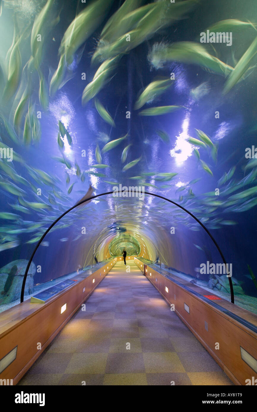 L'Oceanografic, Valencia, 2003. Walkway inside the aquariums. Architect ...