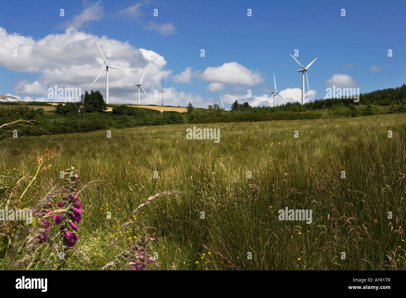Distant view of wind power turbines on windfarm producing electricity ...
