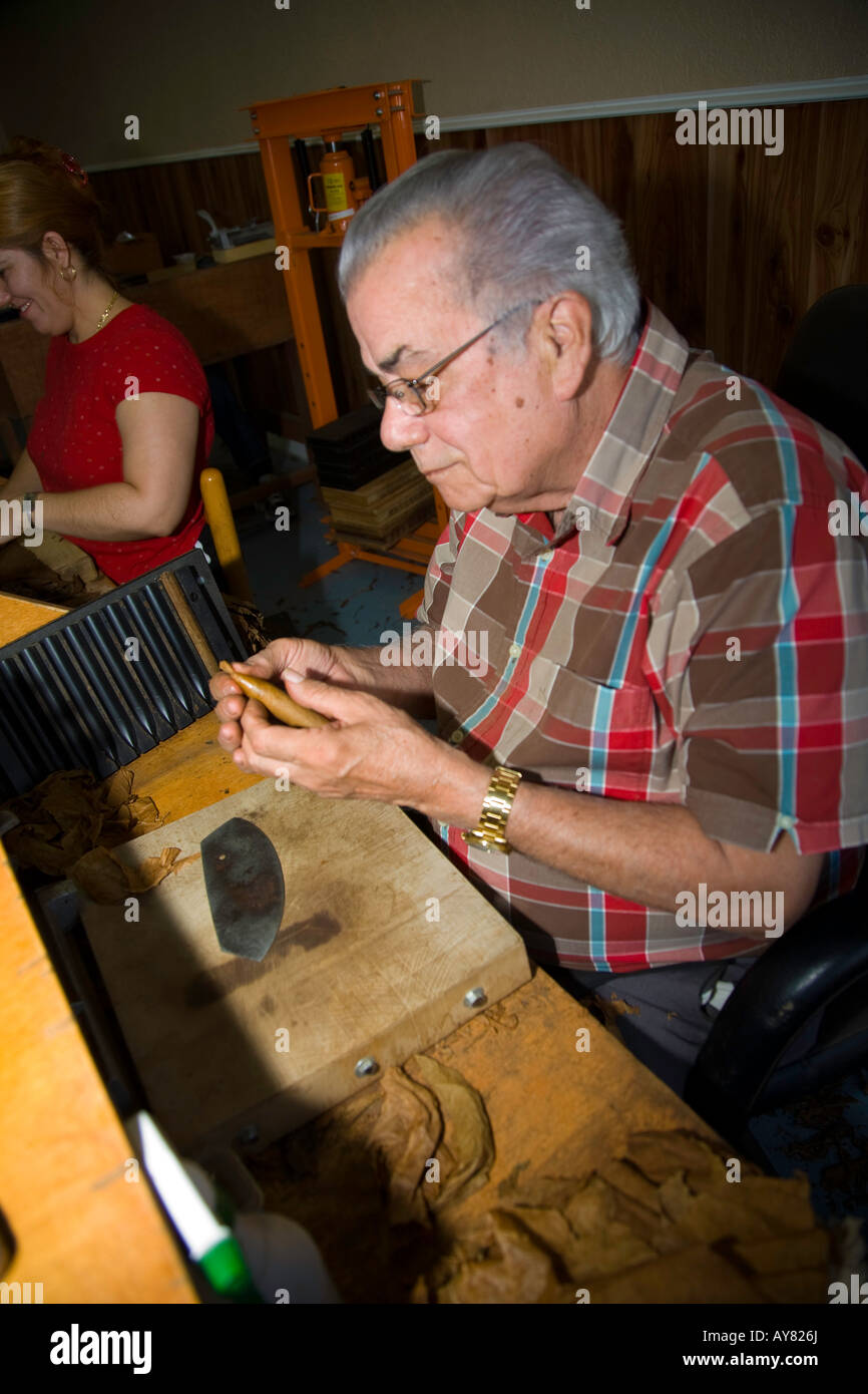 Hand rolled Cuban Cigars made in Ybor City Florida, USA Stock Photo - Alamy