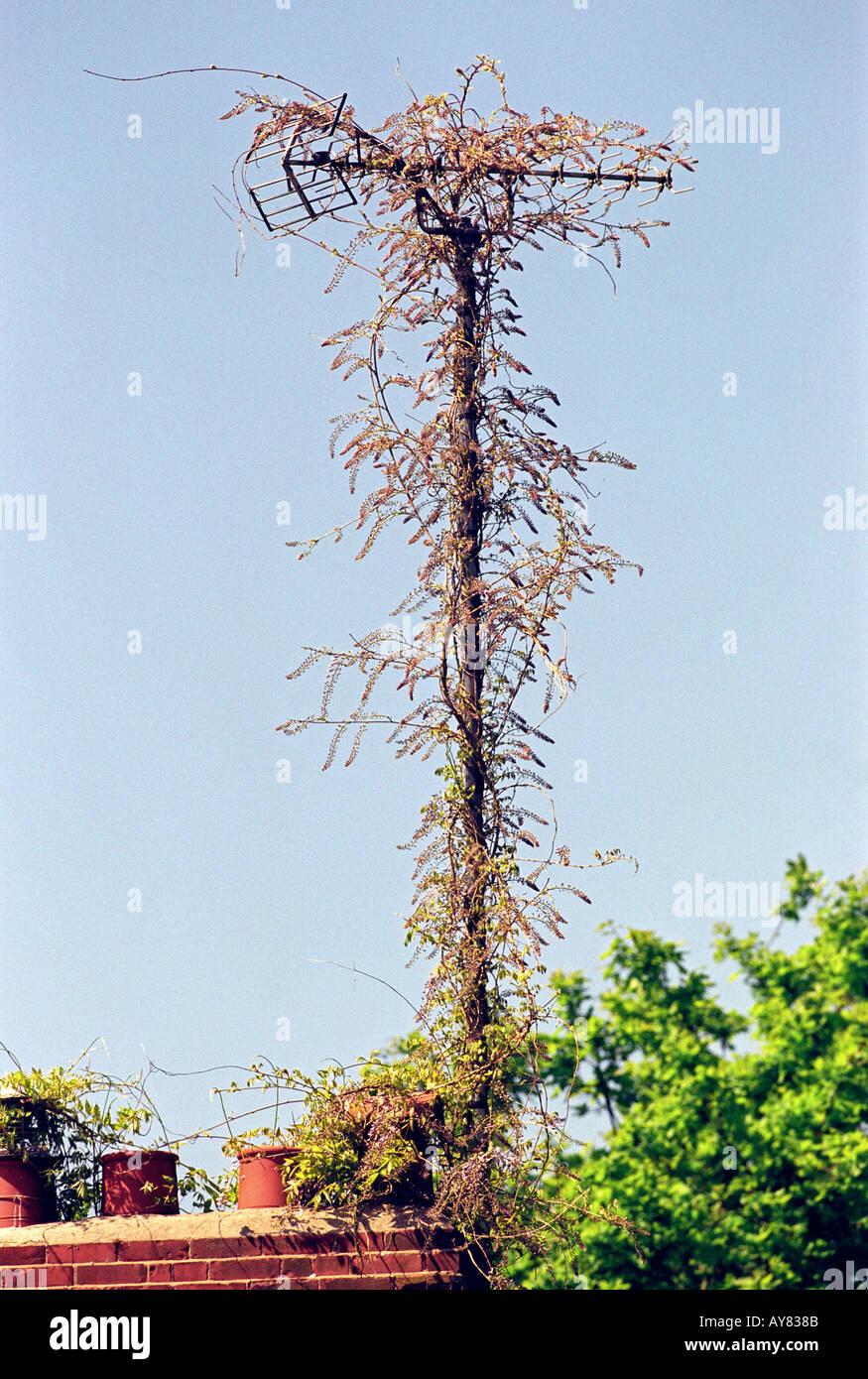 Partly disguised hi-res stock photography and images - Alamy