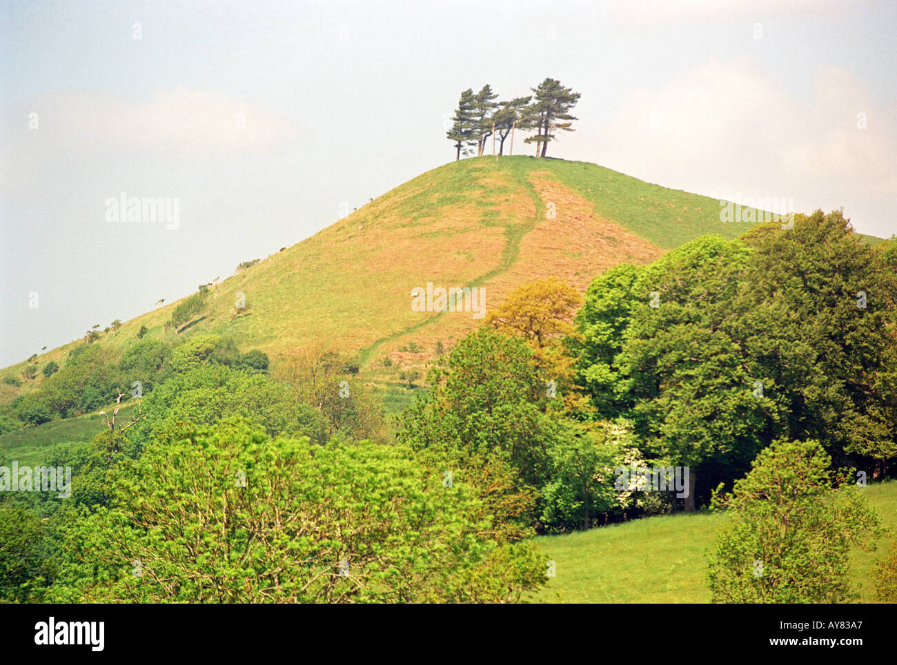 Colmers hill near bridport uk hi-res stock photography and images - Alamy