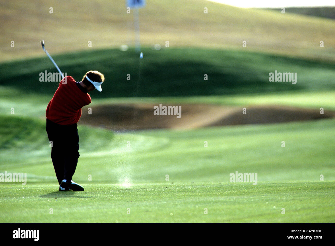 Golfer in action Stock Photo - Alamy