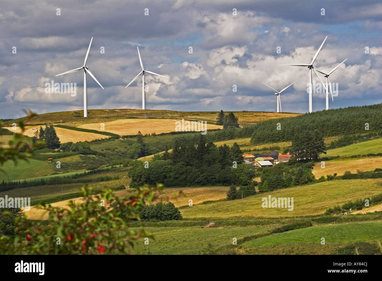 Wind power turbines on windfarm producing electricity for part of ...