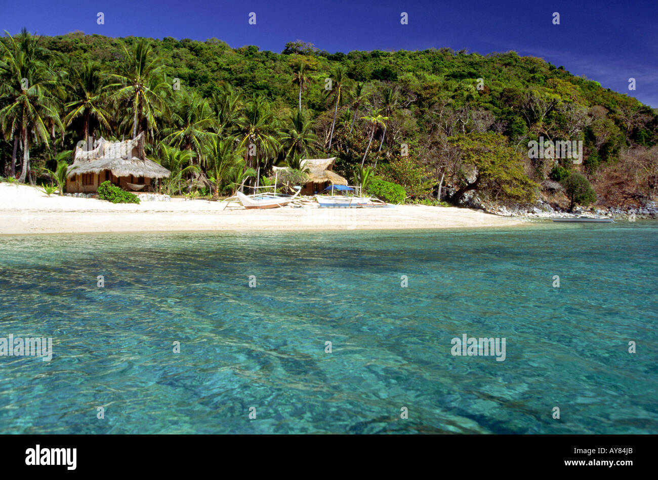 Philippines Palawan Flowers Island beach and accommodation Stock Photo ...