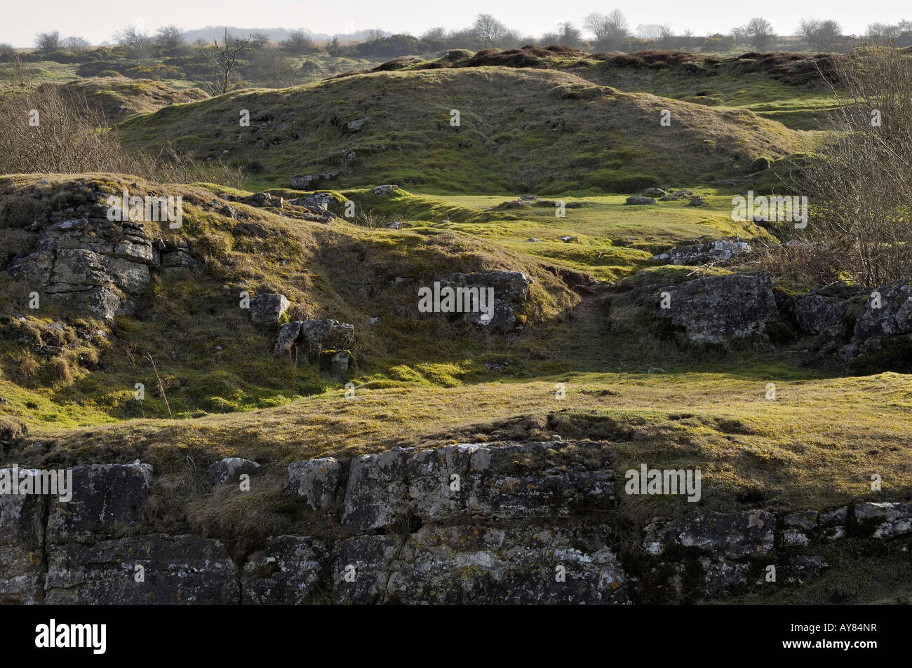 Limestone Cliffs and Rock Formations Ubley Warren Blackdown ...
