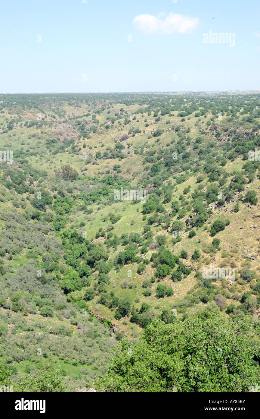 Israel Golan Heights Yehudiya Forest Nature Reserve the flat tops of ...