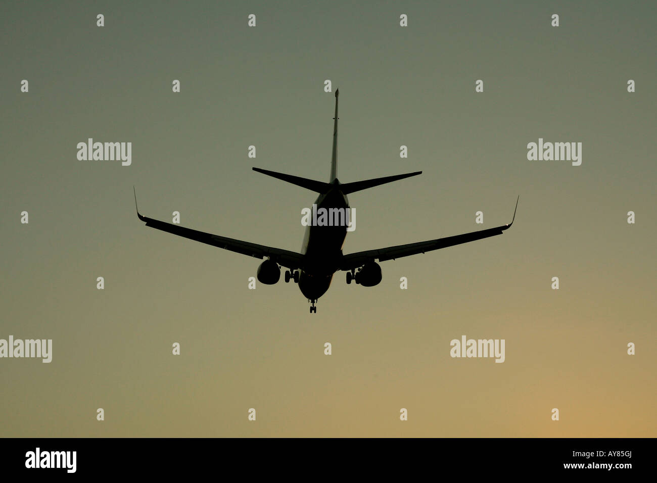 Plane landing at sunset Stock Photo - Alamy