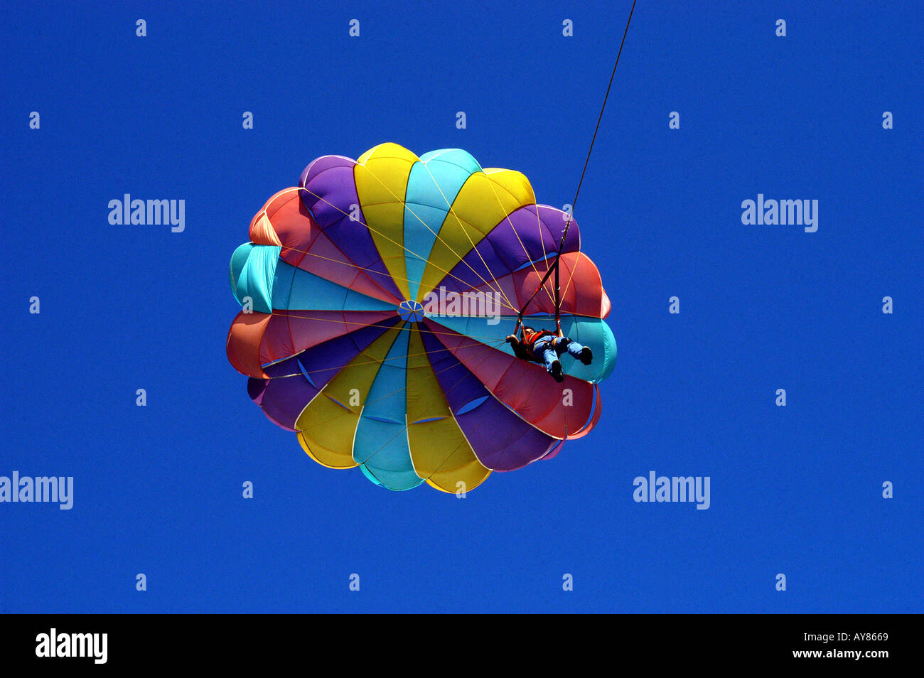 PARA SAILING OFF MUMBAI COAST bombay MUMBAI MAHARASHTRA INDIA Stock ...