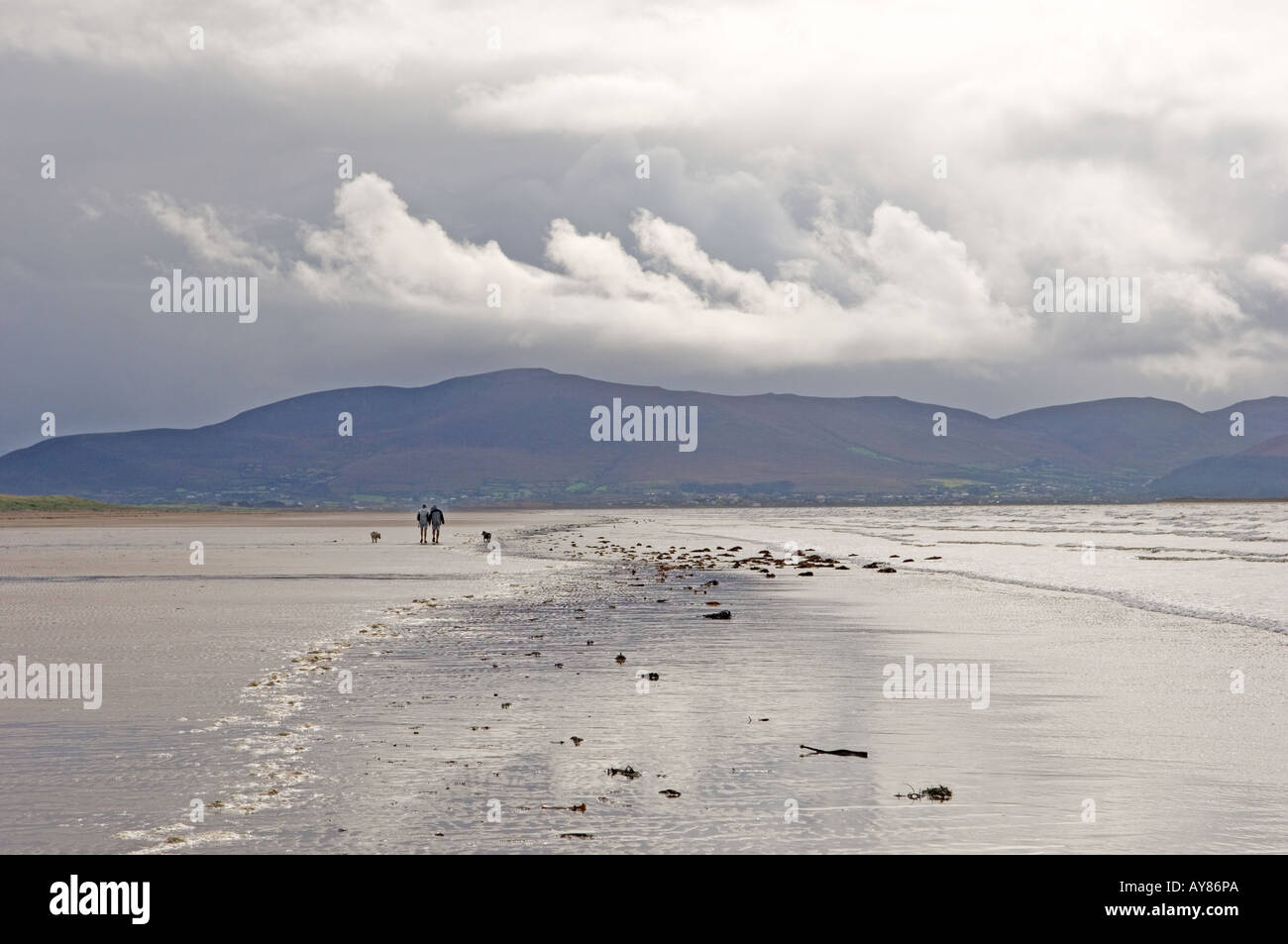 Inch Strand, County Kerry, Ireland. Man woman and dog on beach with the ...