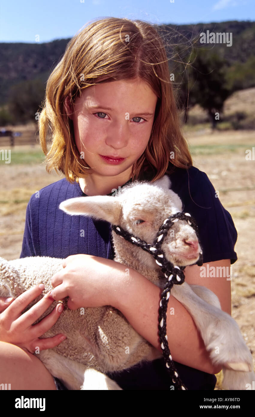 Shy bashful girl child holding lamb hi-res stock photography and images ...