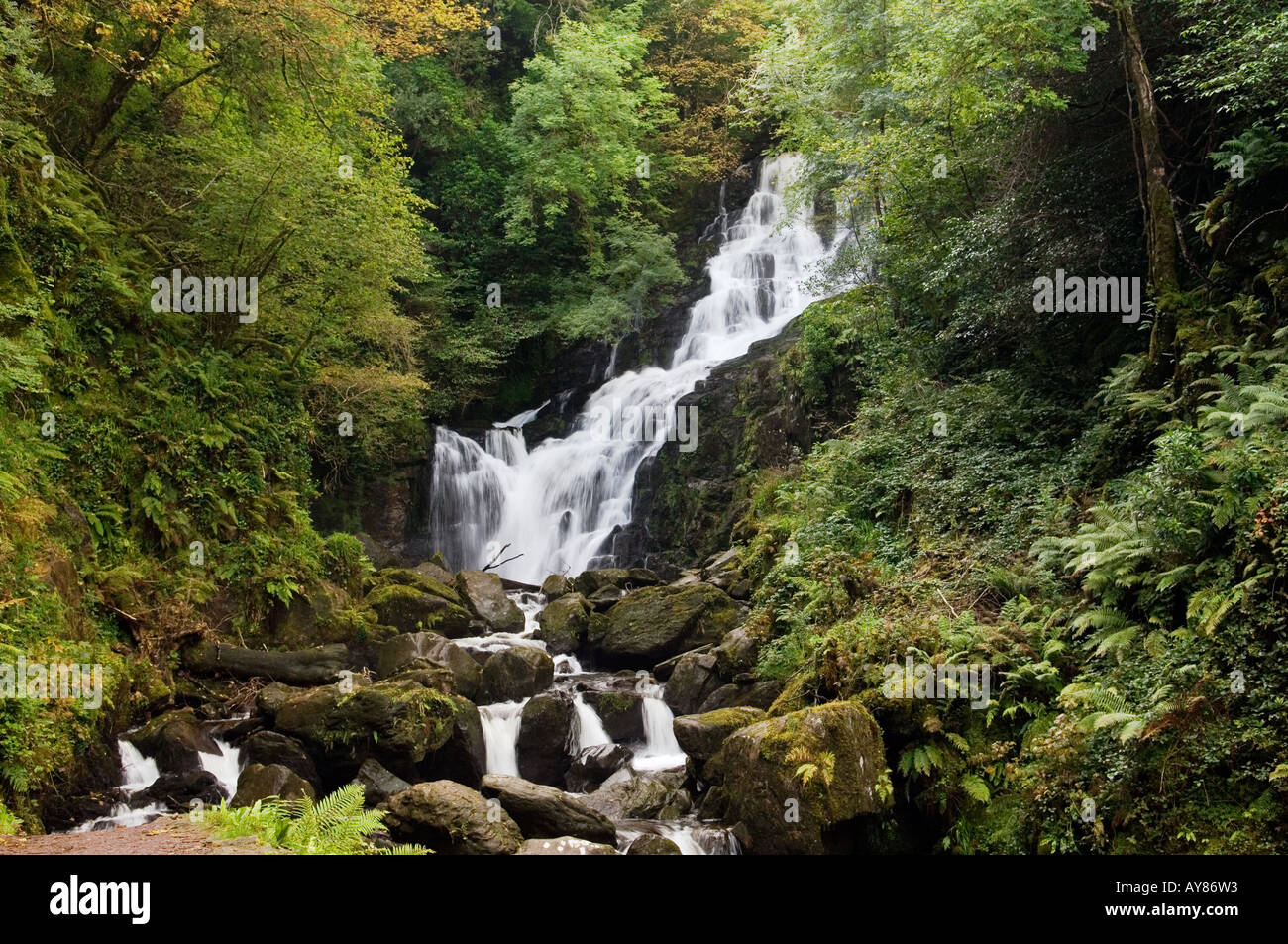 Torc Waterfall on the Owengarrif River beside Muckross Lake, Killarney ...
