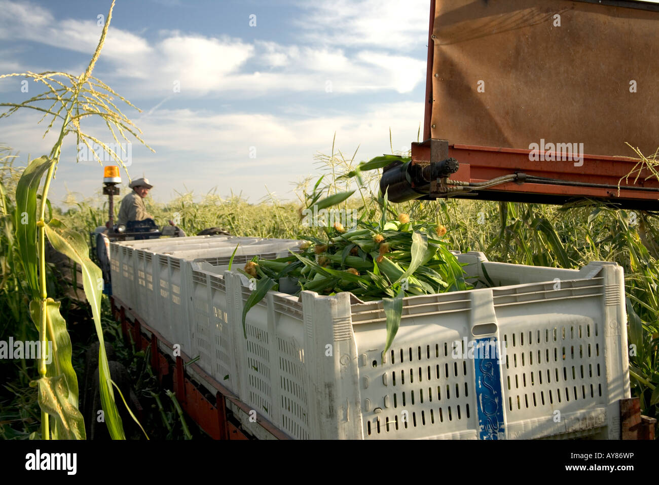 Farmer driving tractor hi-res stock photography and images - Alamy