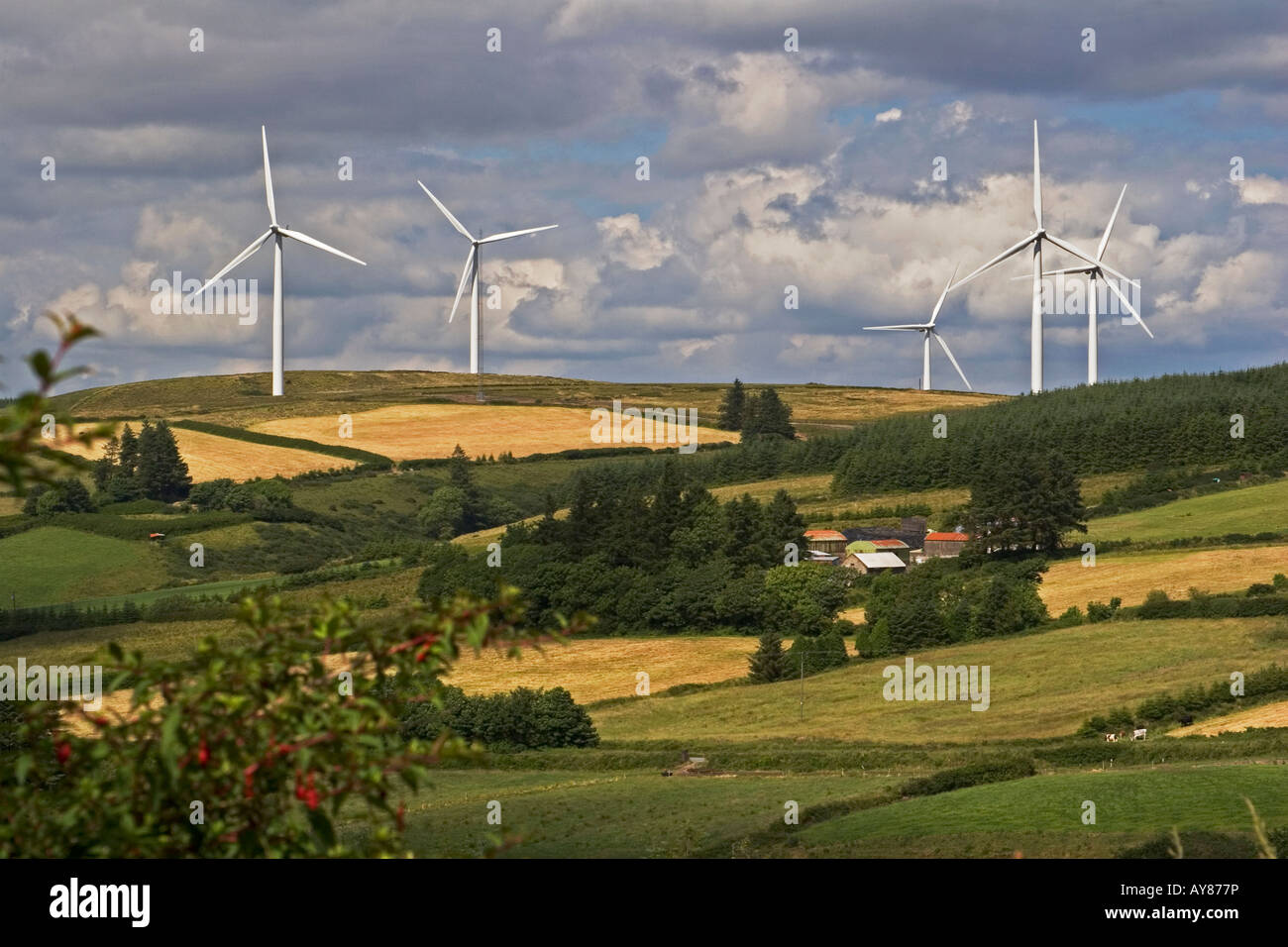 Wind power turbines on windfarm producing electricity for part of ...