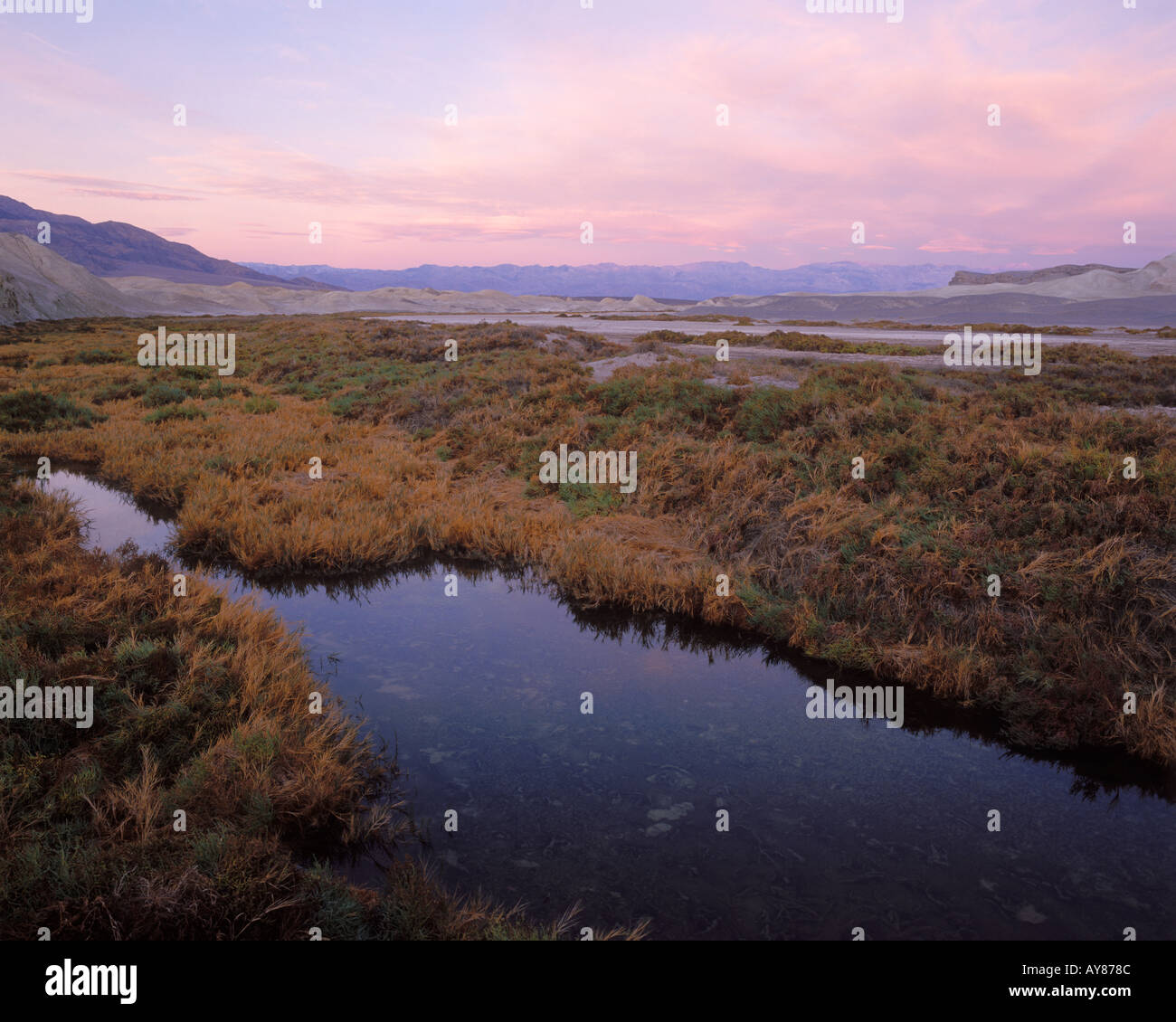 Home of the pupfish hi-res stock photography and images - Alamy