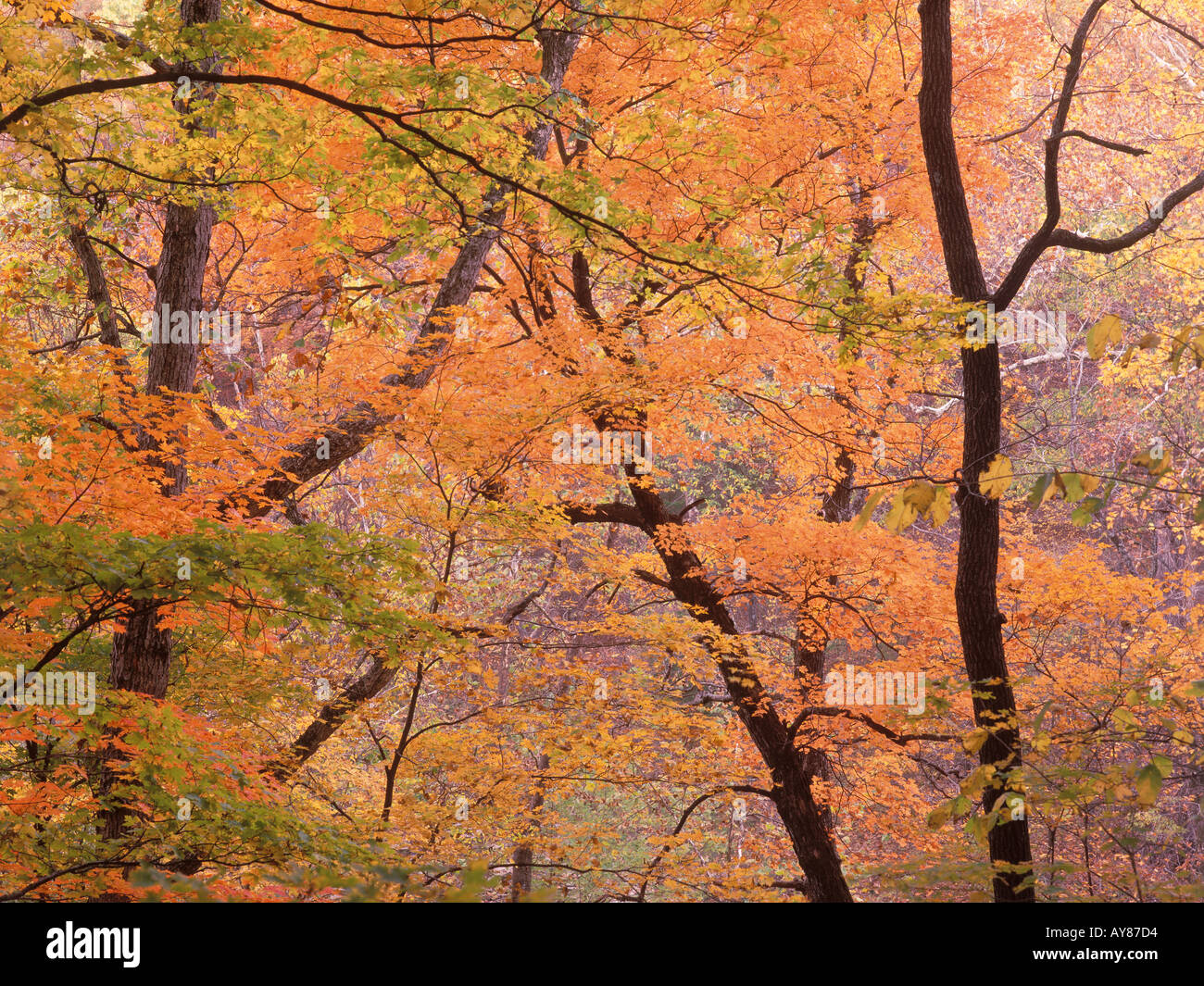 Midwestern nature hi-res stock photography and images - Alamy