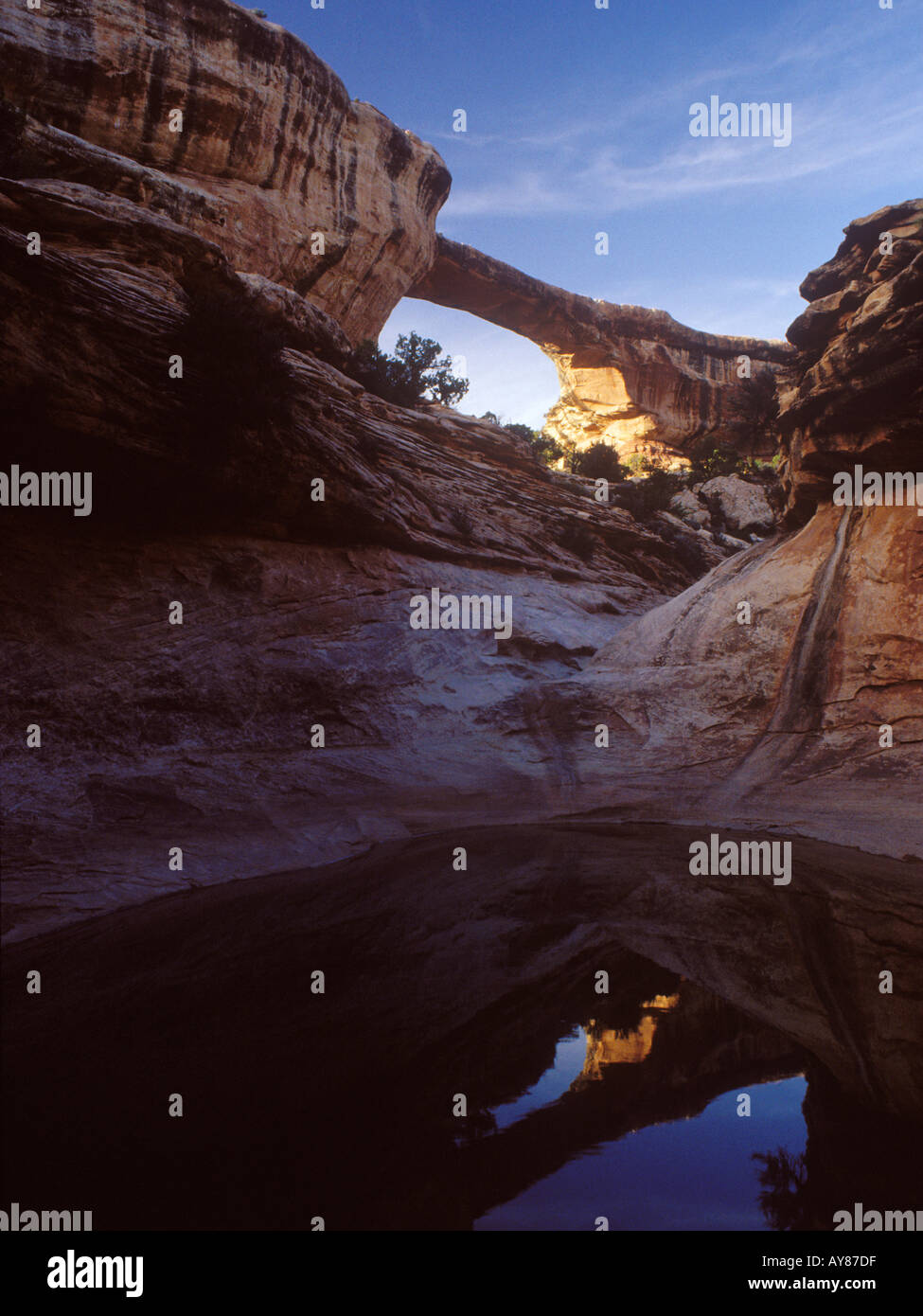Owachomo Bridge and reflection Natural Bridges National Monument Utah ...