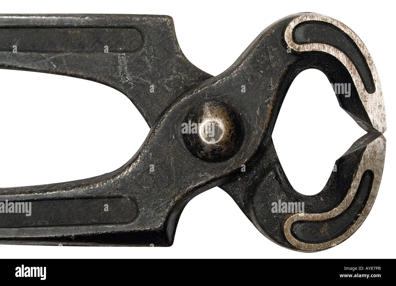 Pincer jaws hi-res stock photography and images - Alamy