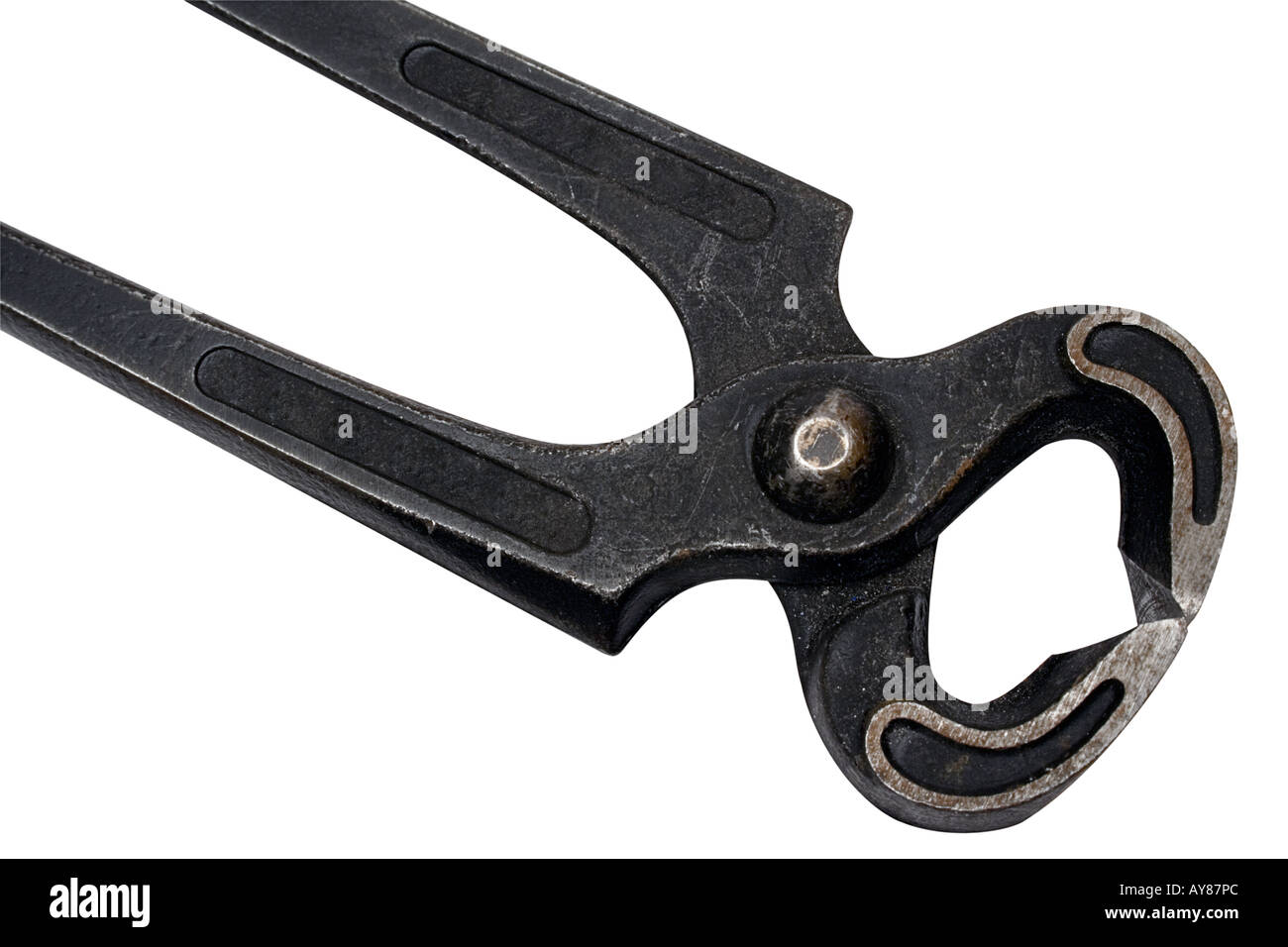 Carpenter pincer hi-res stock photography and images - Alamy