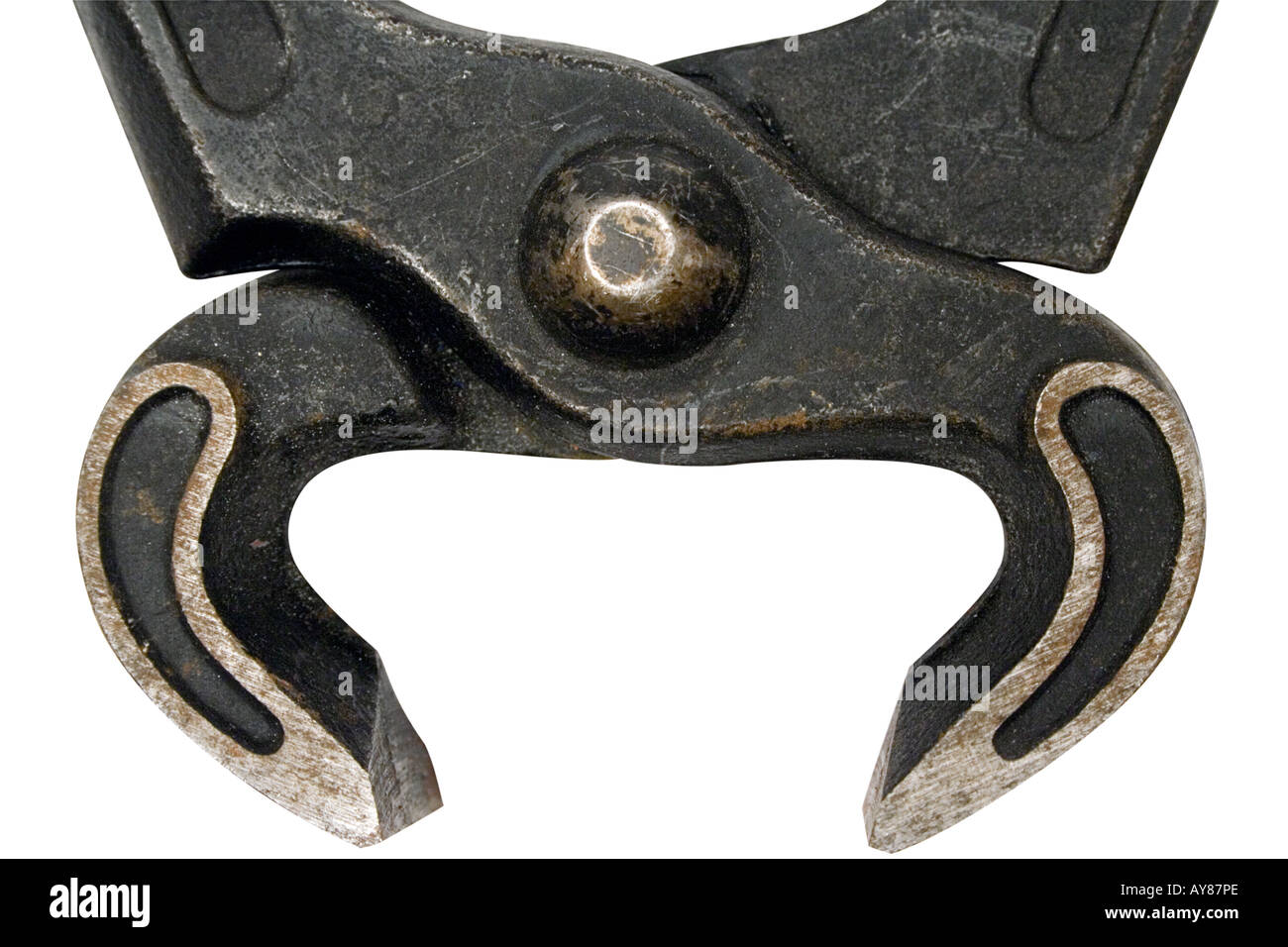 Black Open Pincer (Close View Stock Photo - Alamy