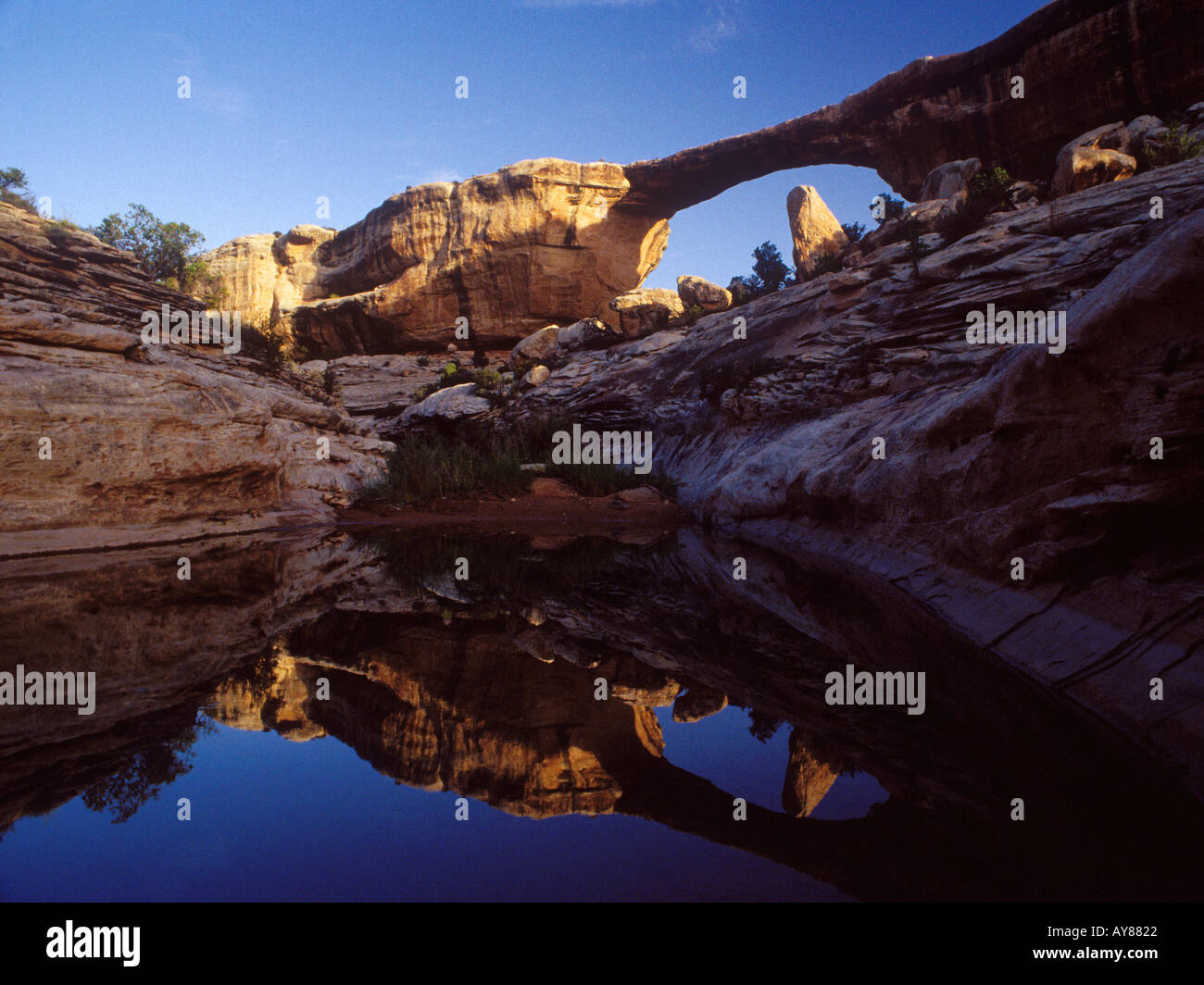 Owachomo Bridge and reflection Natural Bridges National Monument Utah ...