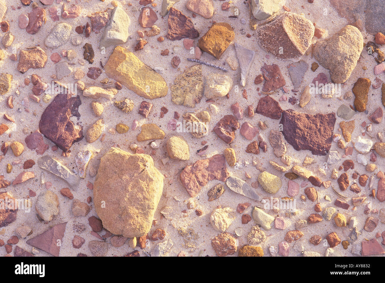 Desert floor mosaic Stock Photo - Alamy