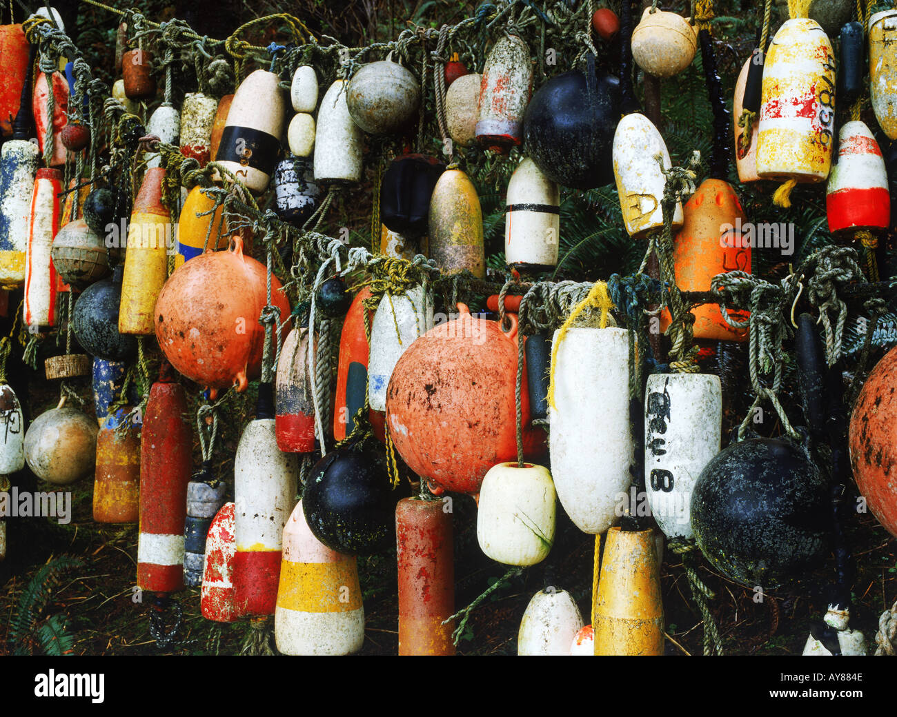 Variety of colorful buoys hanging at Trinadad Bay in Northern ...