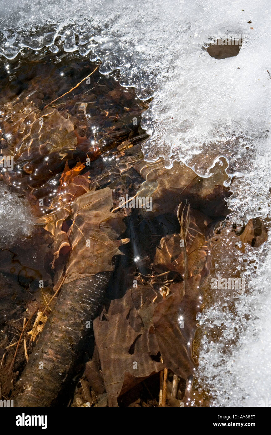 Thaw melt hi-res stock photography and images - Alamy