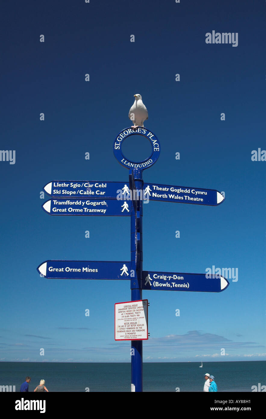Seagull on sign post, Llandudno, North Wales Stock Photo - Alamy