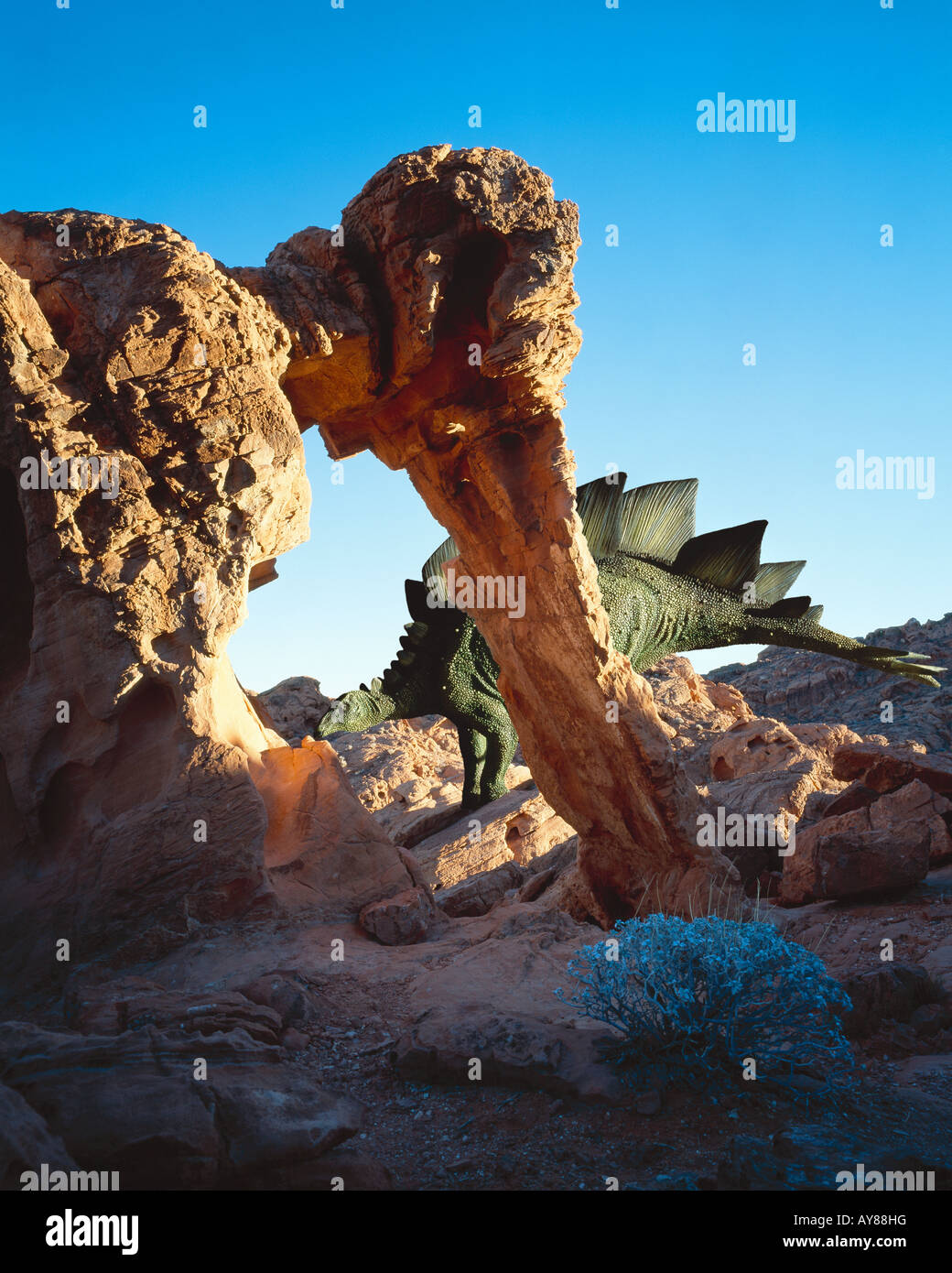 Stegosaurus hi-res stock photography and images - Alamy