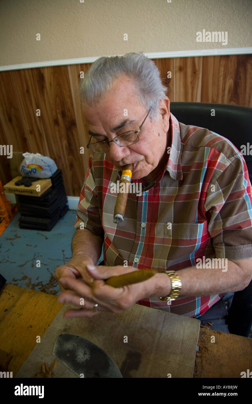 Hand rolled Cuban Cigars made in Ybor City Florida, USA Stock Photo - Alamy