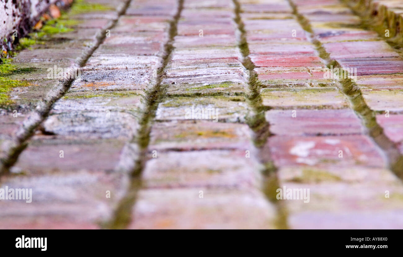 Colourful bricks receding shallow focus horizontal Stock Photo - Alamy