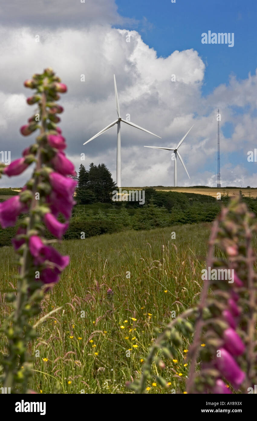 Wind power turbines on windfarm producing electricity for part of ...