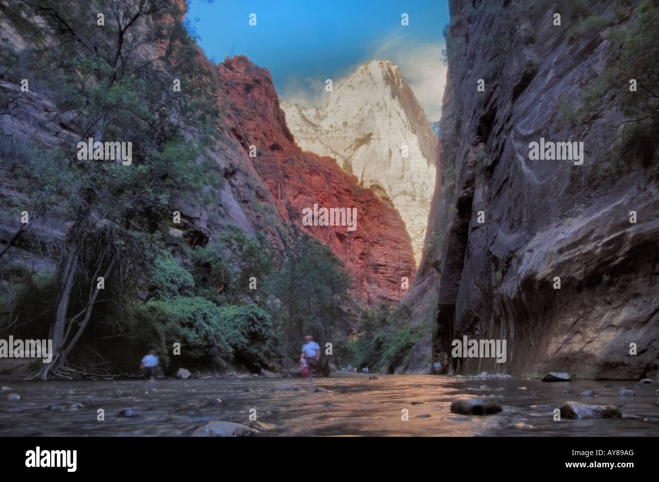 Utah. View of the entrance to "The Narrows" - the famous canyon at Zion ...