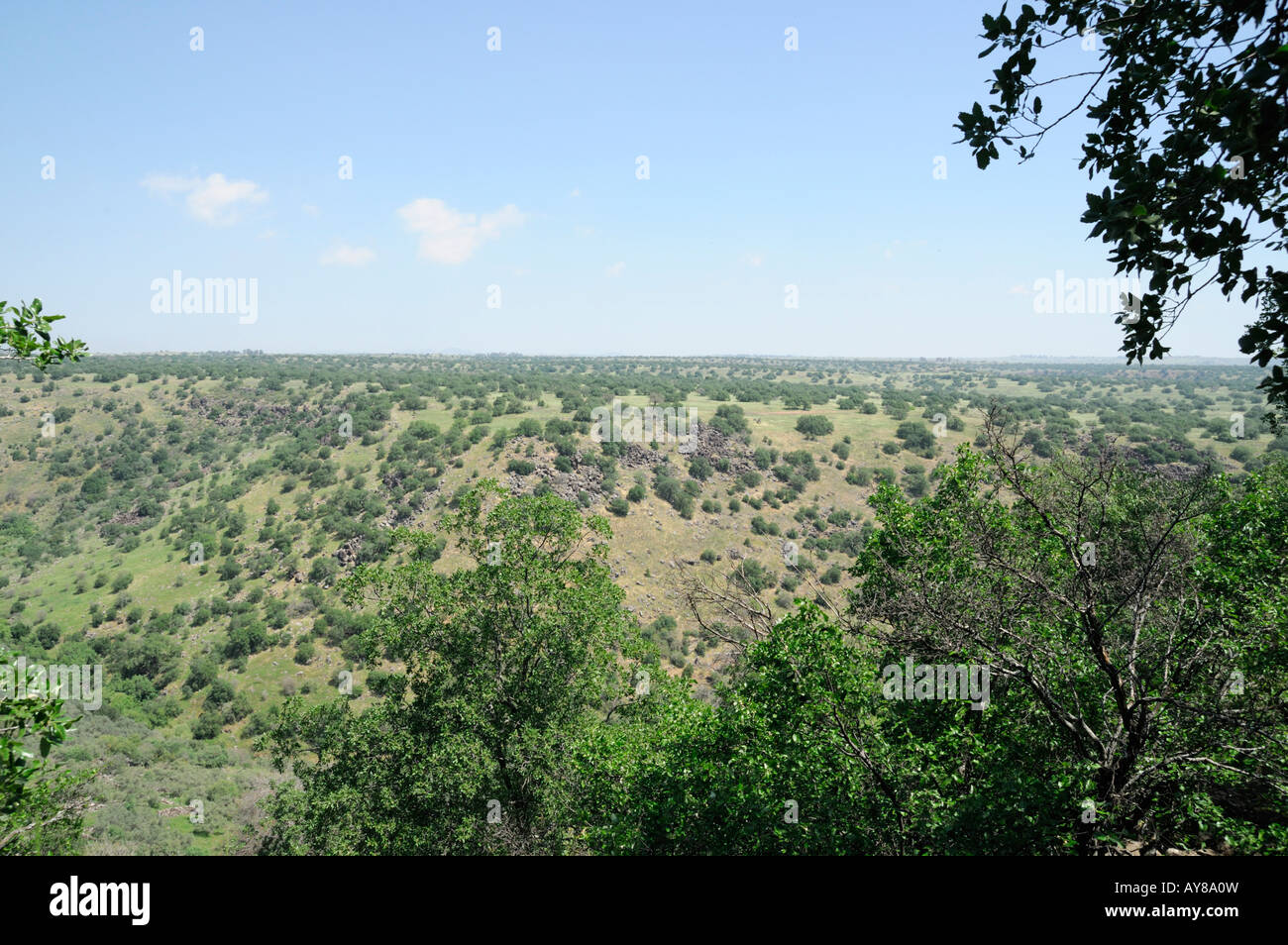 Meshoshim stream hi-res stock photography and images - Alamy