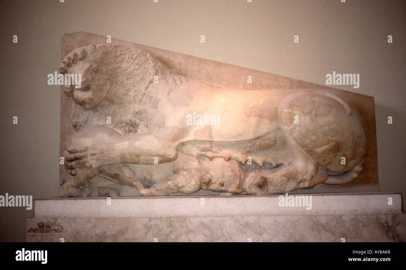 Reclining lioness hi-res stock photography and images - Alamy