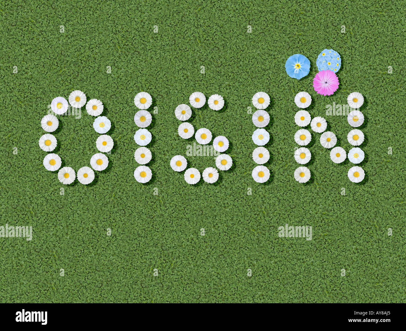 forename Oisin written Stock Photo - Alamy