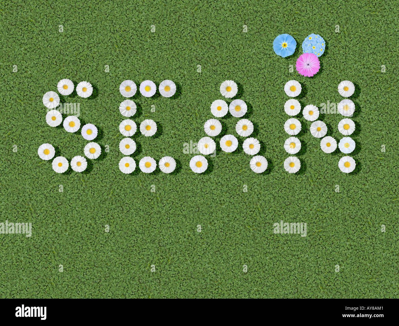 Forename hi-res stock photography and images - Alamy