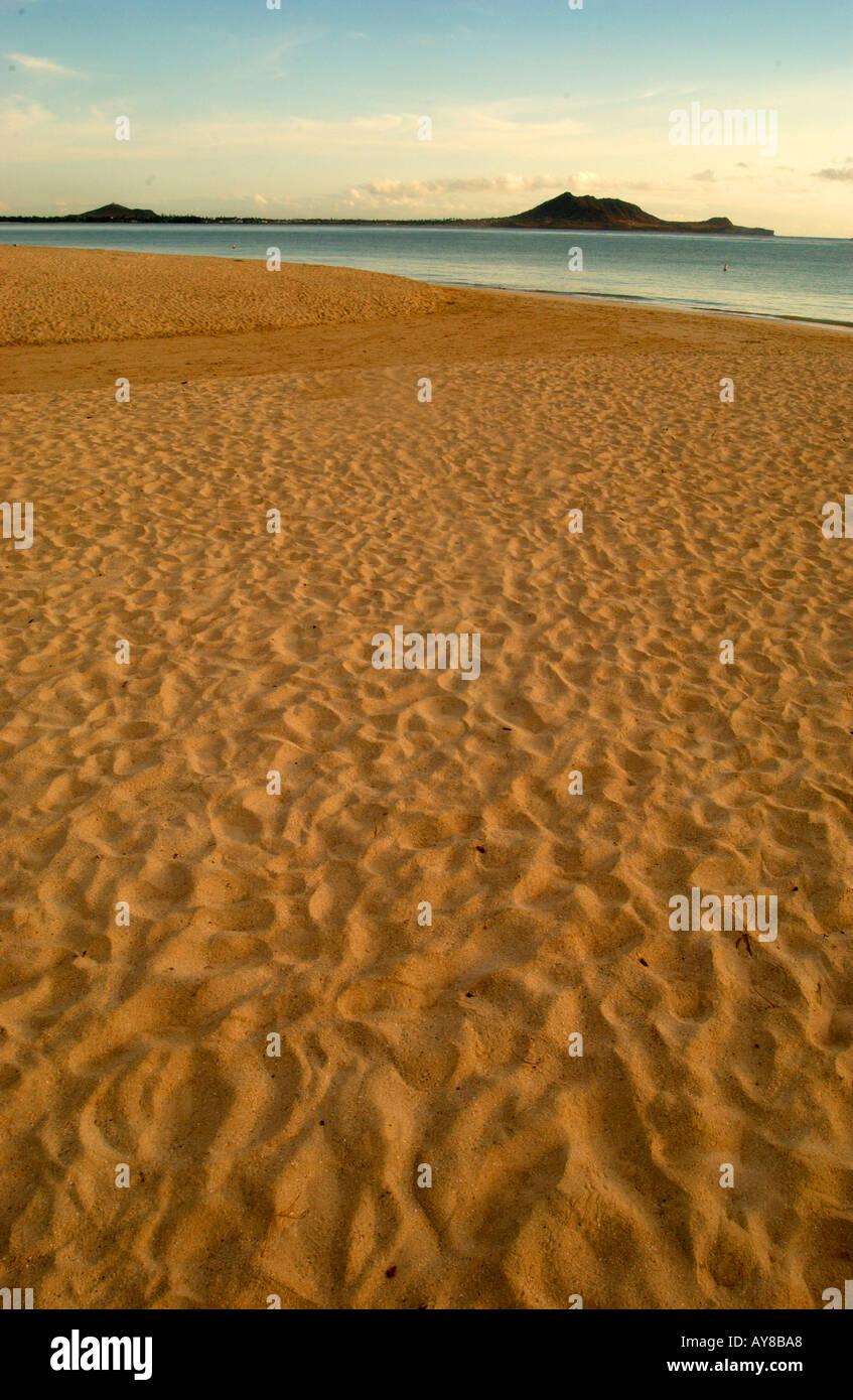Vertical color image of sand on a beach in Hawaii Stock Photo - Alamy
