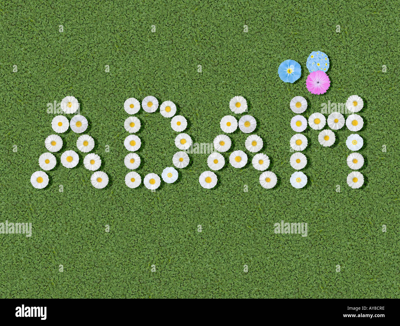 Prename hi-res stock photography and images - Alamy