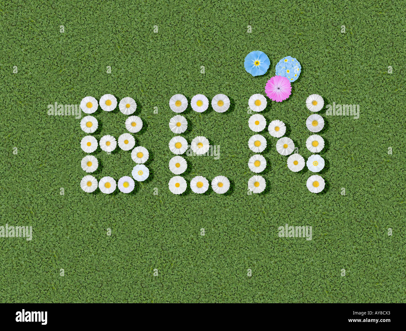 Prename hi-res stock photography and images - Alamy