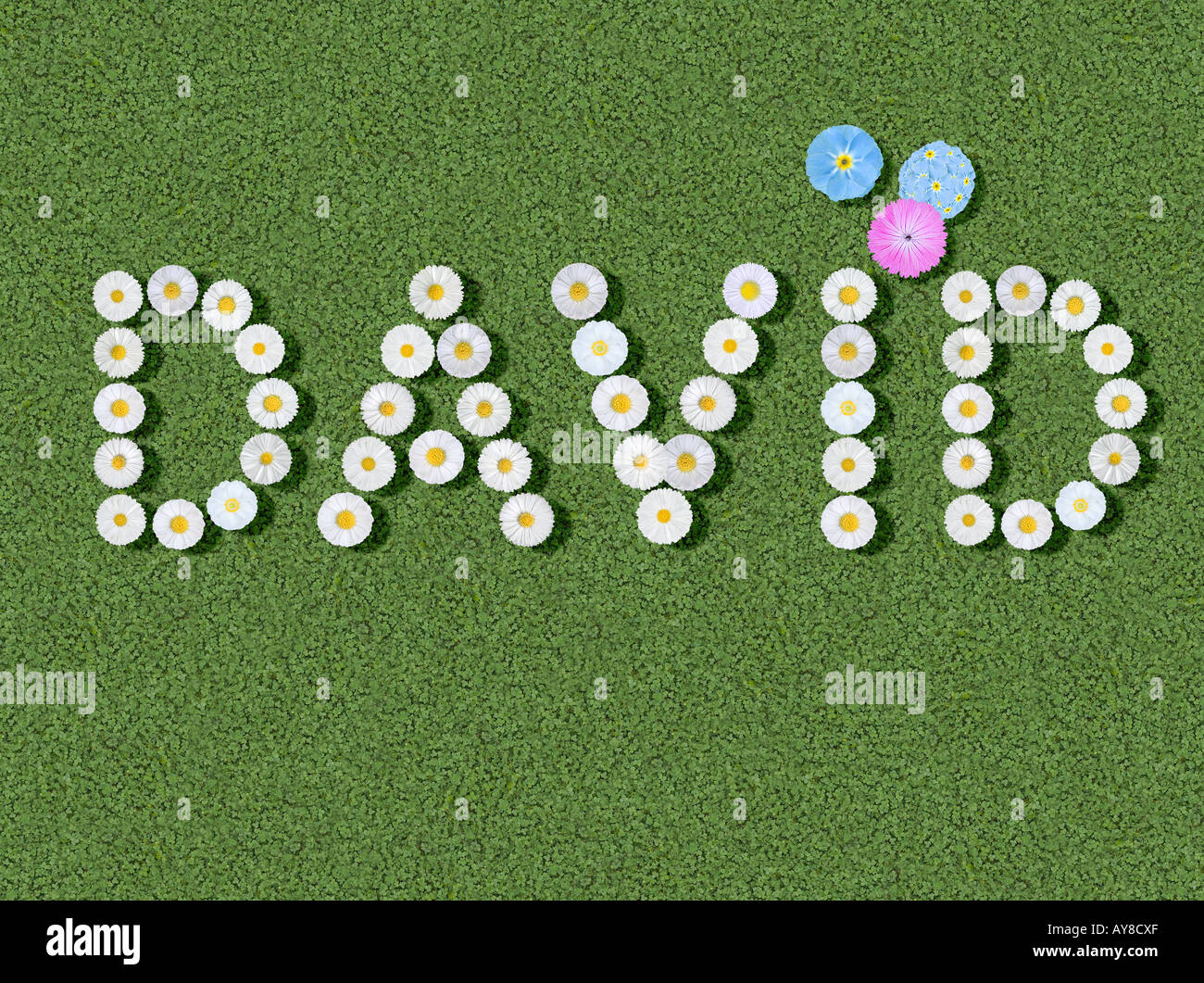 Name David Written Stock Photo Alamy Name David Written Stock Photo Alamy