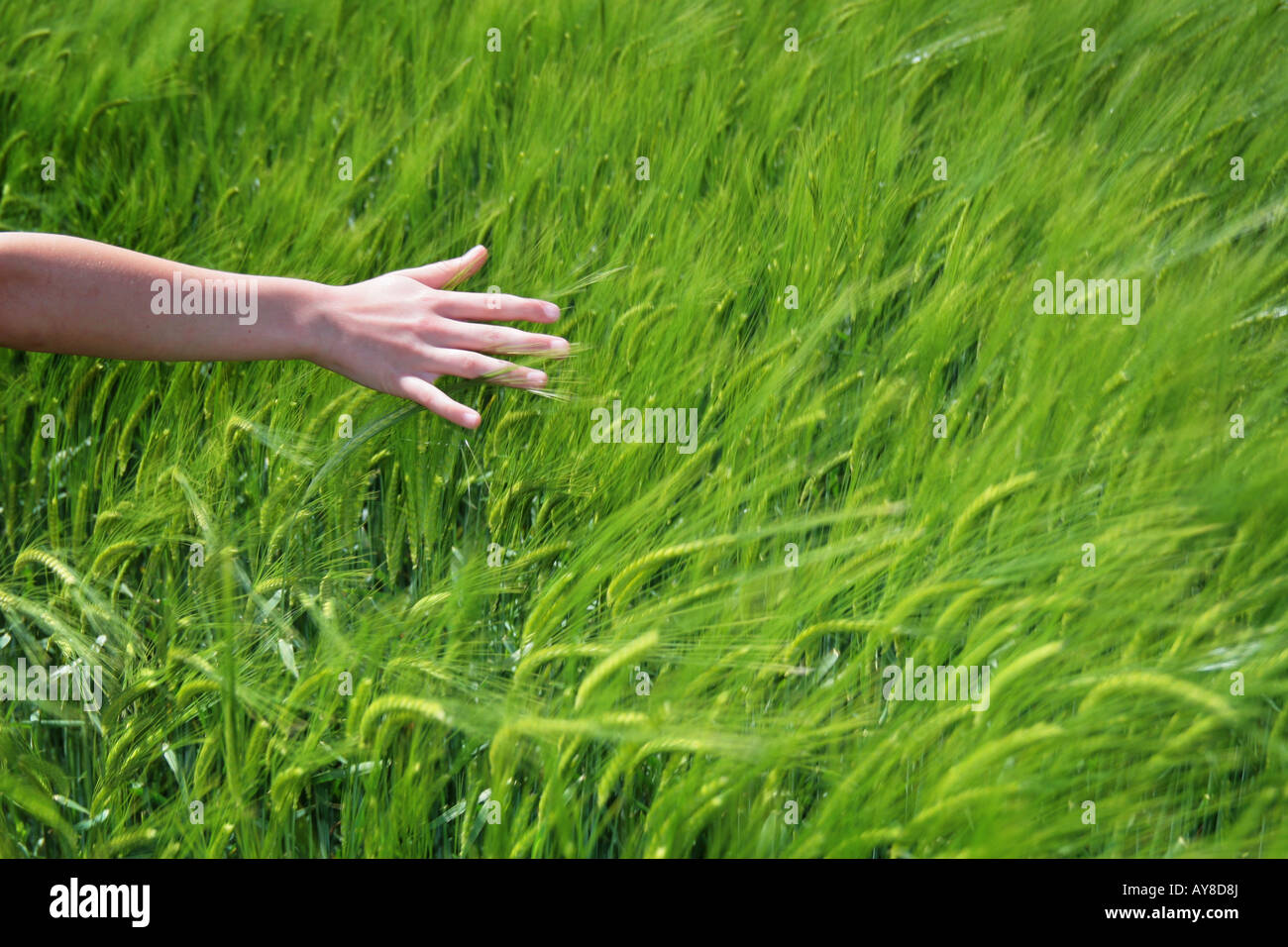 hand touching crop Stock Photo - Alamy