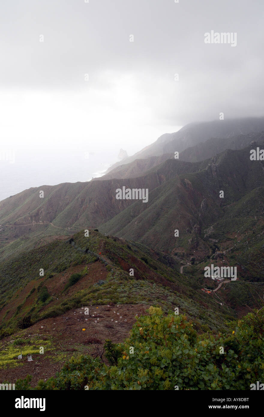 The treacherous rocky coast and cliffs of north east Tenerife around ...