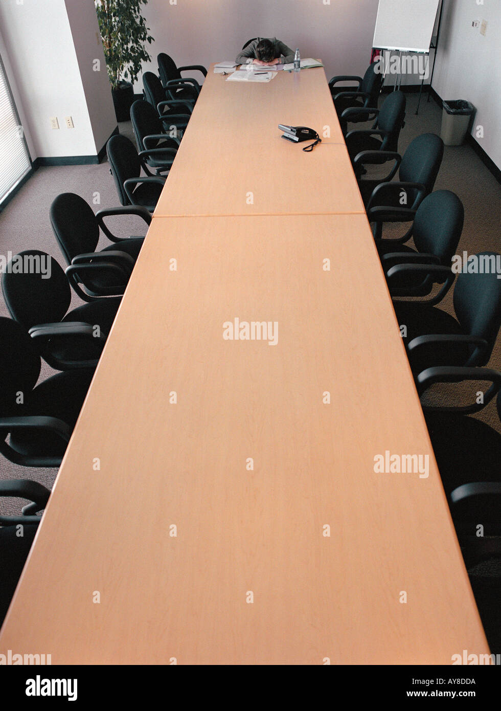 Stressed out overworked female executive rests head on conference table ...
