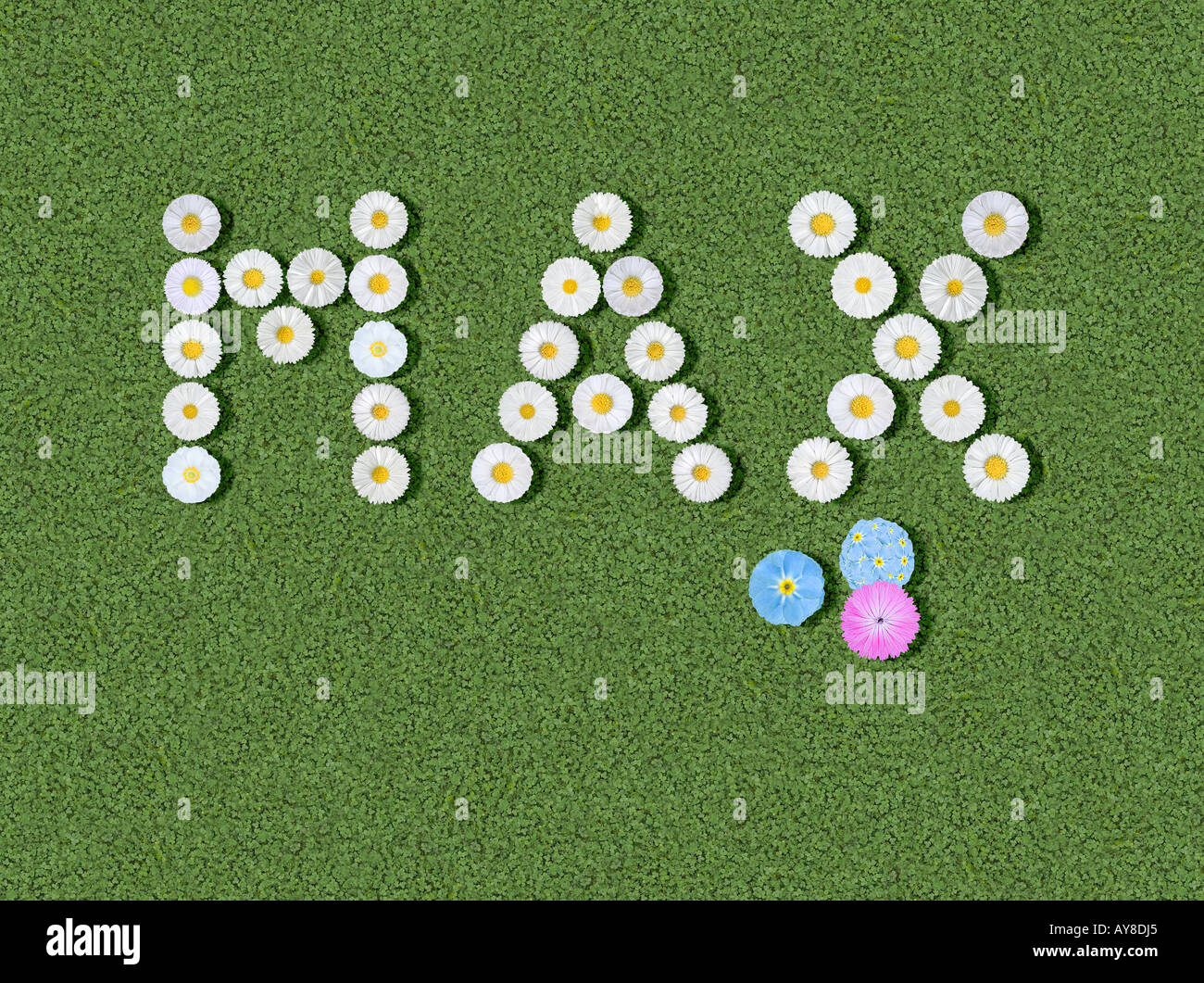 Boy name max hi-res stock photography and images - Alamy