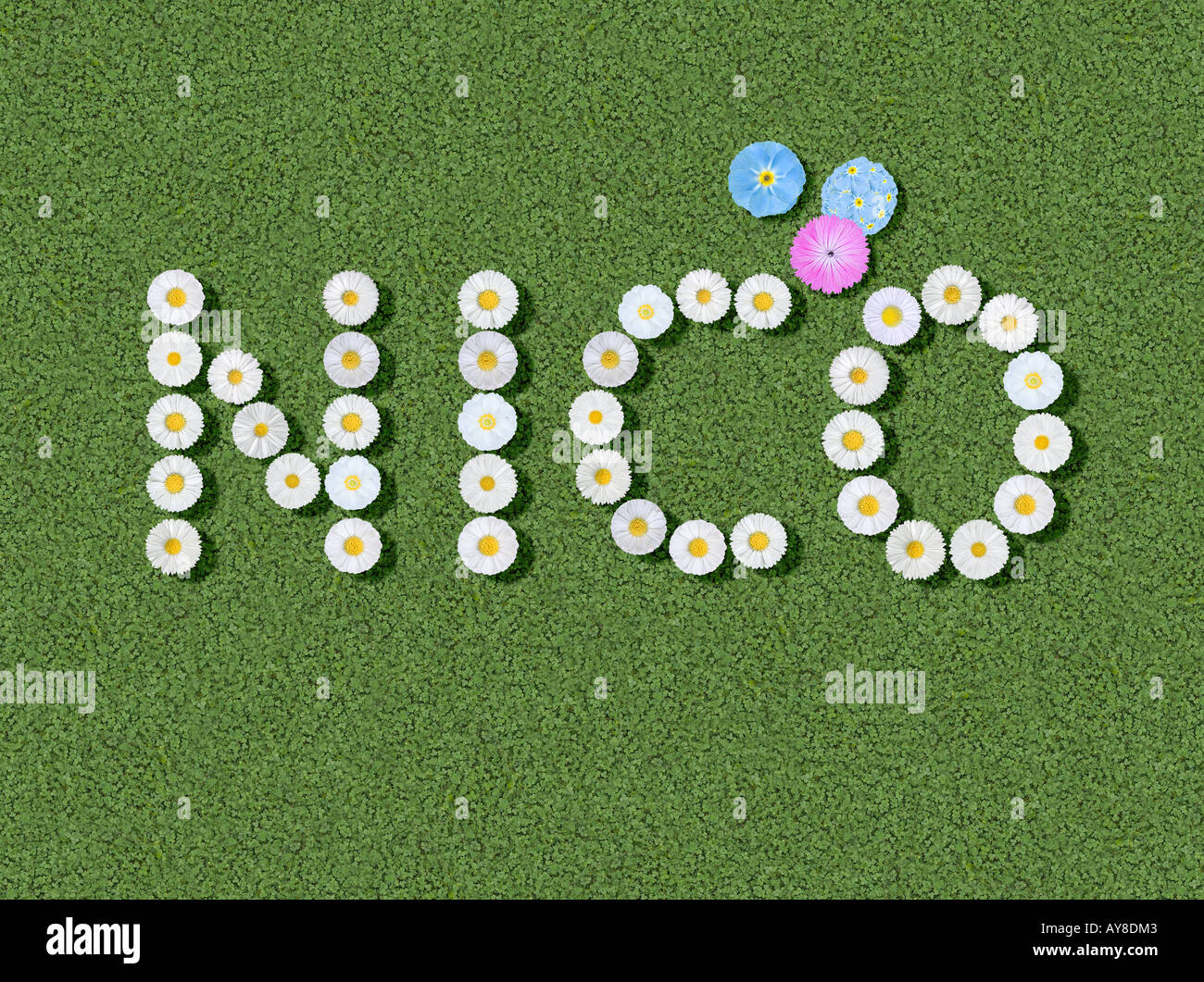 Nico hi-res stock photography and images - Alamy