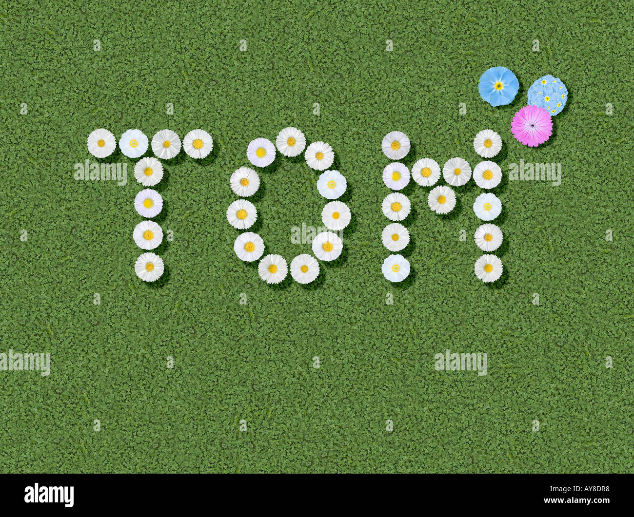 Prename hi-res stock photography and images - Alamy